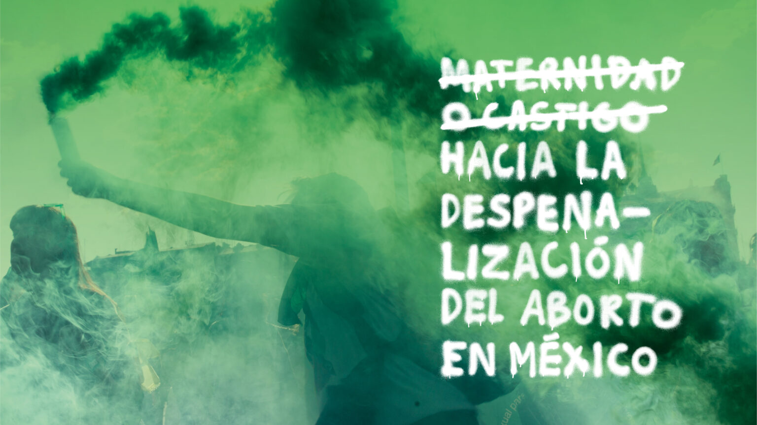 GIRE es una organización feminista, cuya misión es lograr una ...